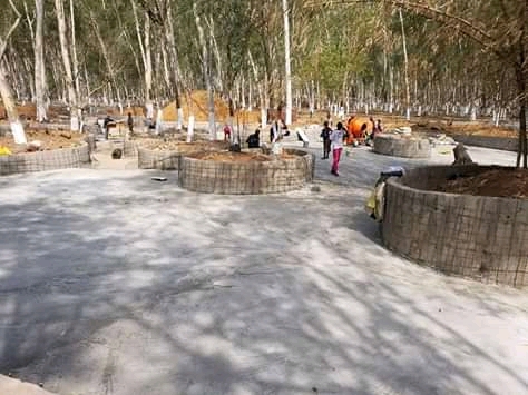 Ugwuanyi’s Ongoing Transformation Of Forest Reserve, Okpara Square ...