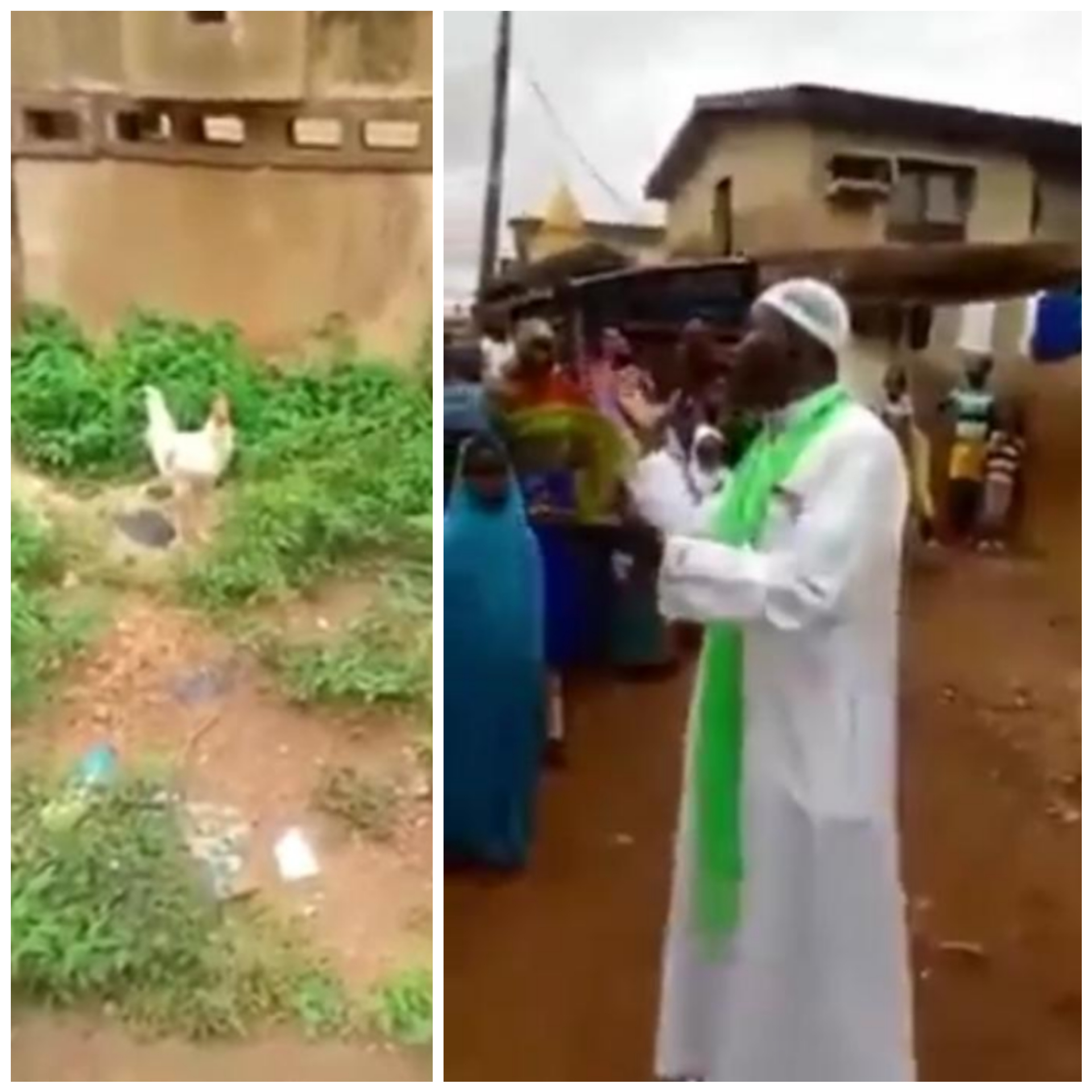 Local Residents Claim They Spotted A Chicken Shouting “God Have Mercy ...