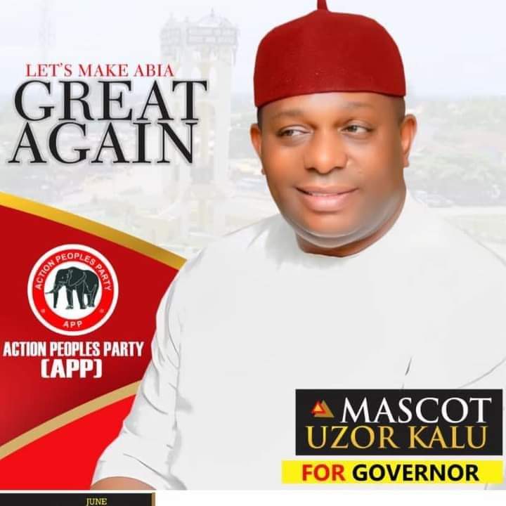 2023: Ngwa Candidates Should Step Down For Nana Nwafor, Abia North ...