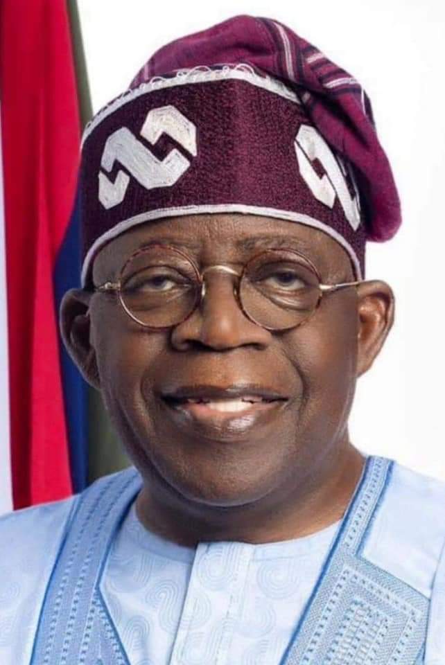 President Tinubu Appoints Wura-Ola As Comptroller-General of ...