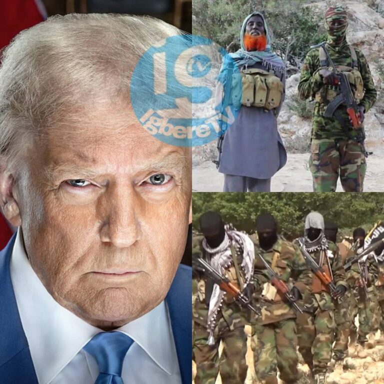 BREAKING! Trump Launches Ferocious Overnight Attacks on T3rrorists ...