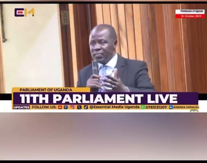 Ugandan MP Atkins Katusabe Returns From Abroad Speaking Phonetic ...